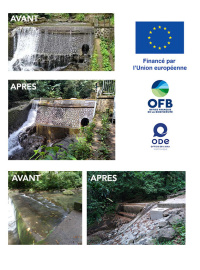 Société de gestion / assainissement d'eau en Martinique - ODYSSI